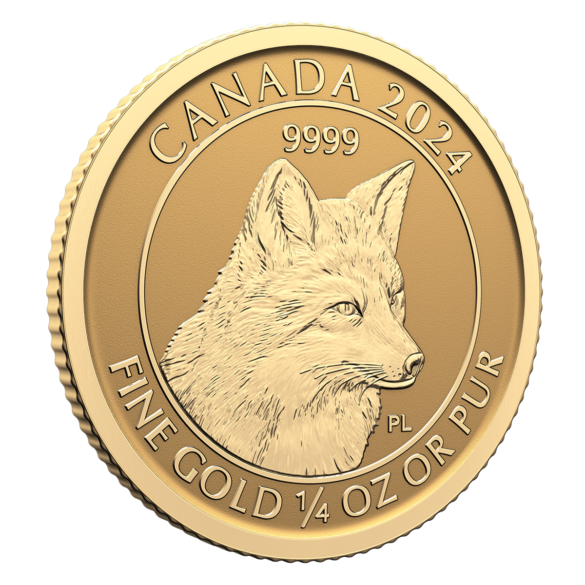 2024 ¼ oz. 99.99% Pure Gold Coin - Red Fox (Bullion) | The Royal ...