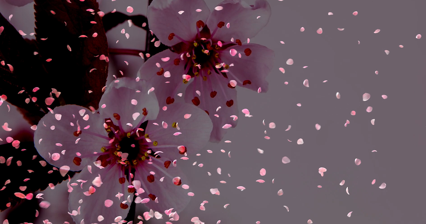 Opulence Collection | The Royal Canadian Mint